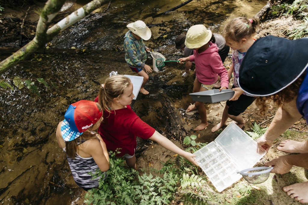 Home | Te Kauri Lodge