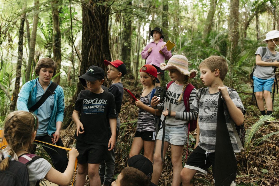 Home | Te Kauri Lodge